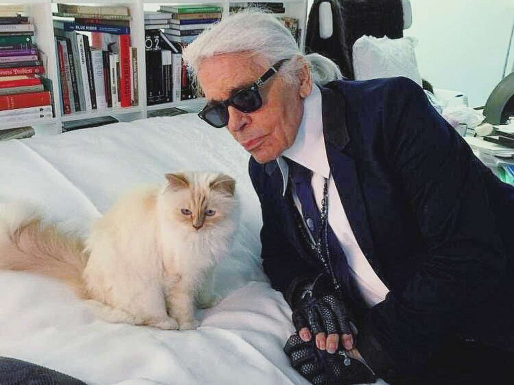 « Je t’aime pour toujours » : l’hommage de Choupette à Karl Lagerfeld ...